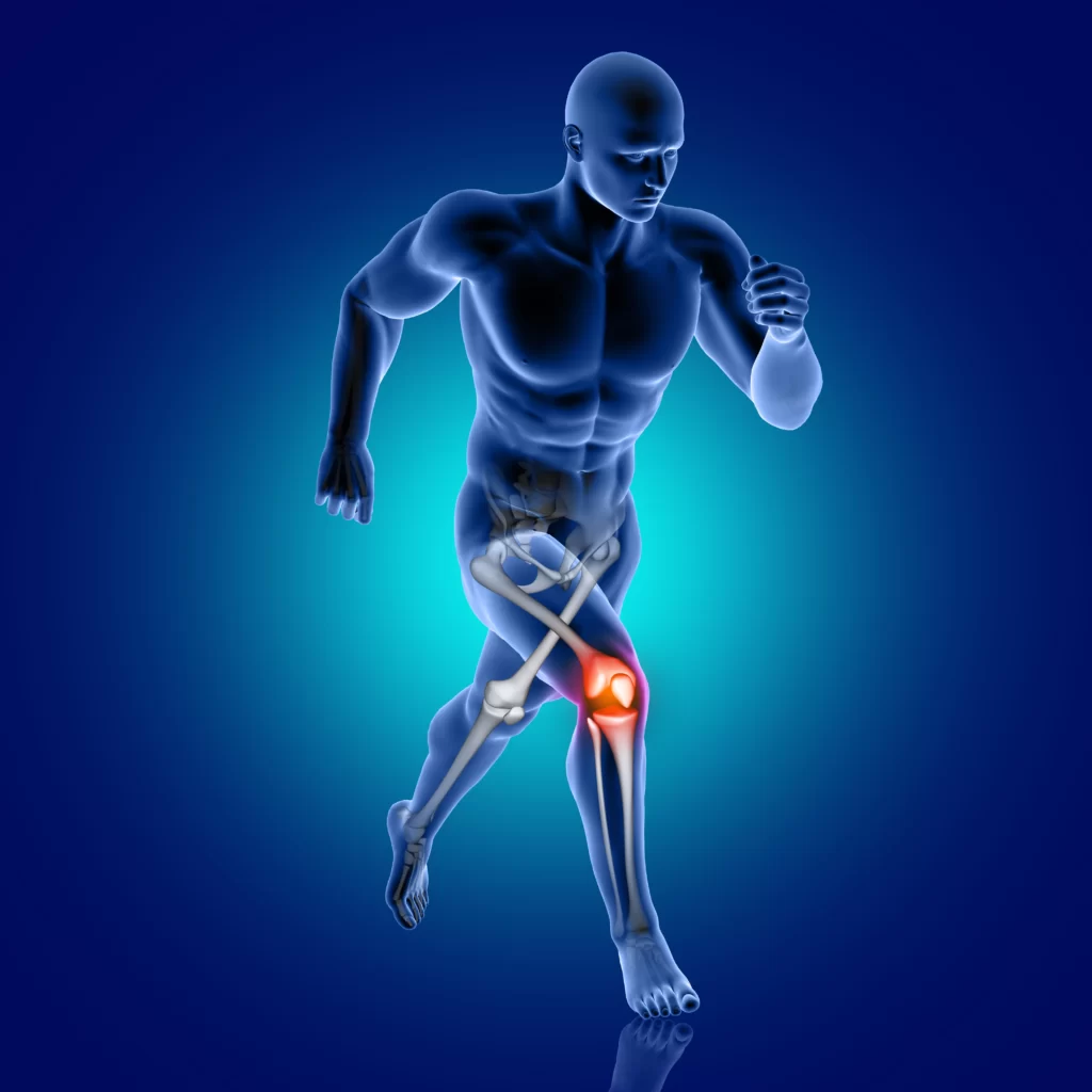Orthopedic - Flora Hospital